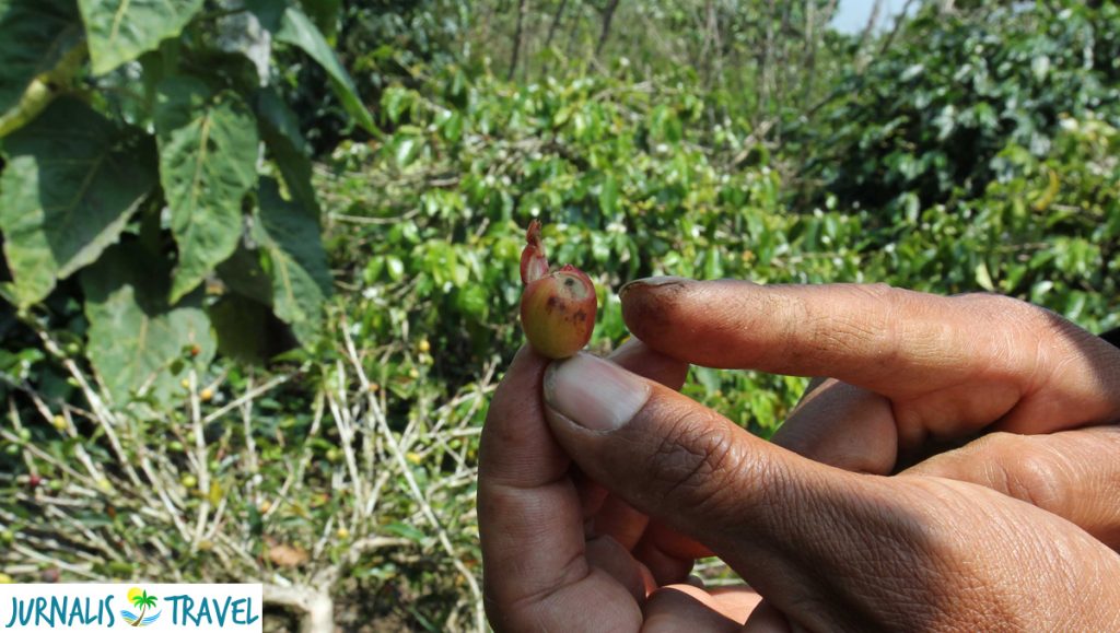 Aksara pada Batik Incung Kerinci - Jurnalistravel.com