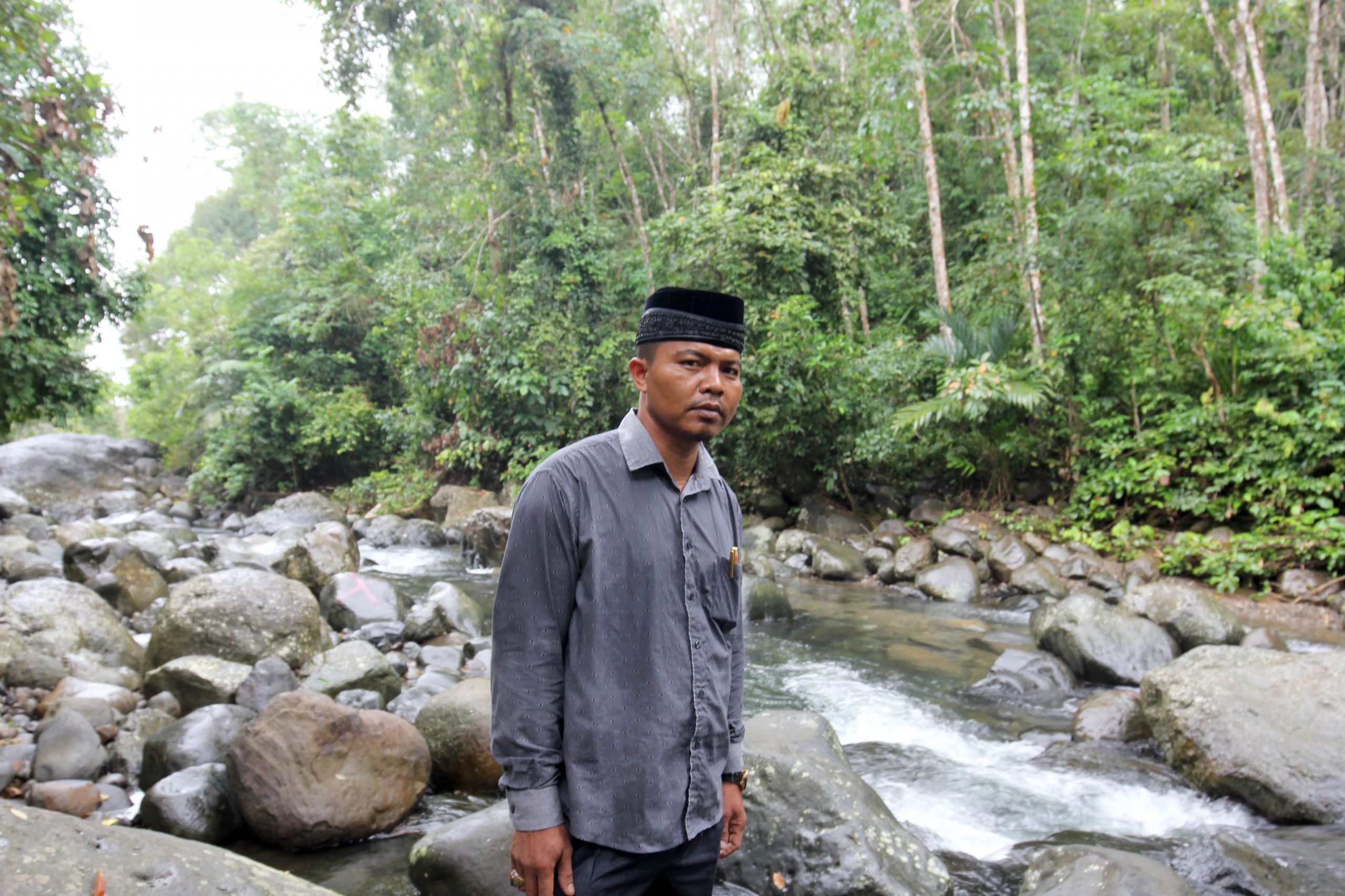 Perhutanan Sosial Sungai Buluh, Layu Sebelum Berkembang ...