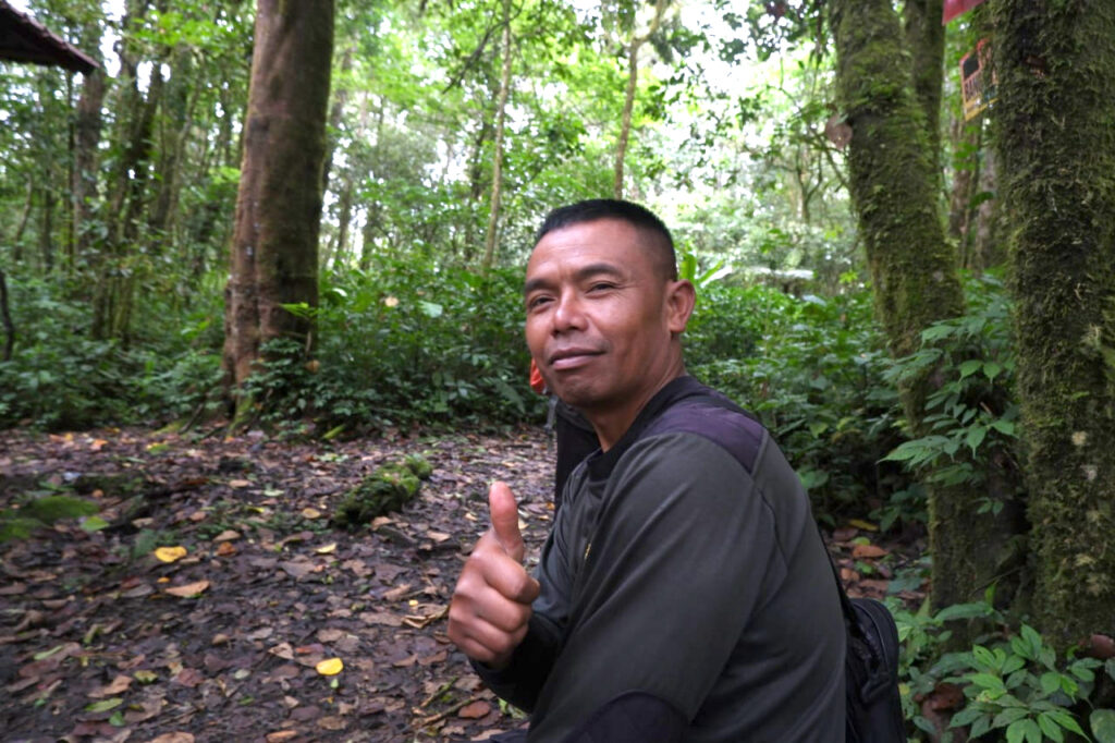 Kelinci sumatera yang Dianggap Hampir Punah Terlihat di Kerinci ...