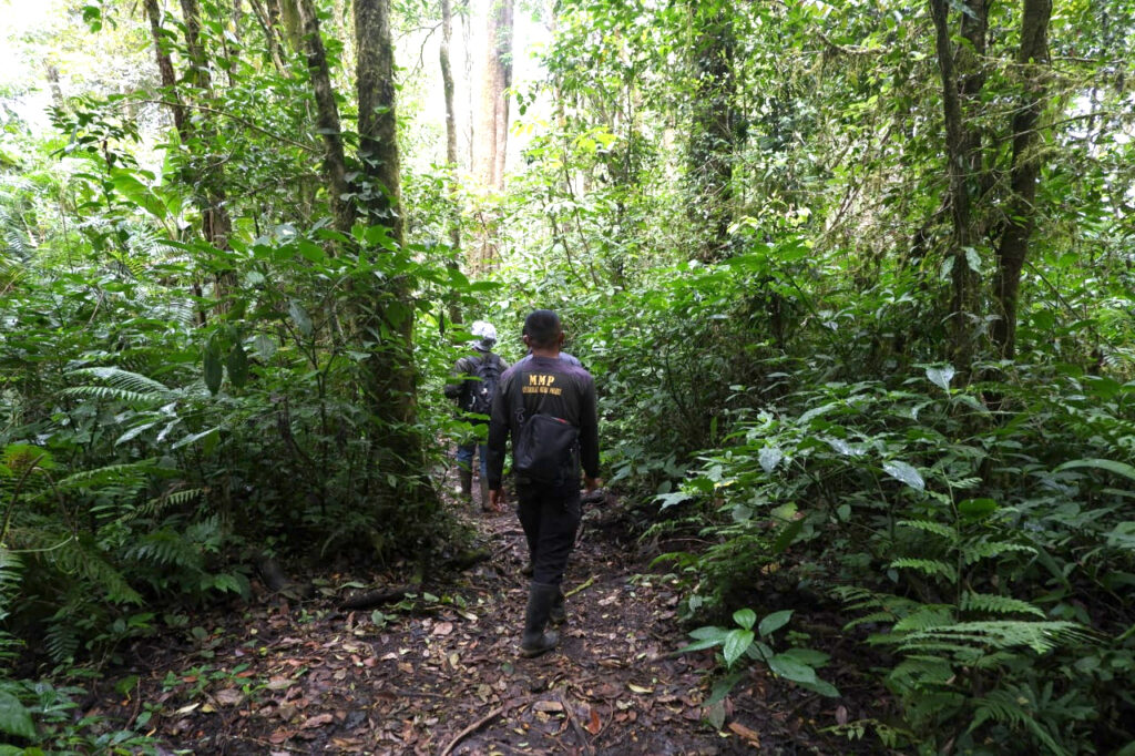 Dianggap Punah, Kelinci sumatera Terlihat di Kerinci - Jurnalistravel.com