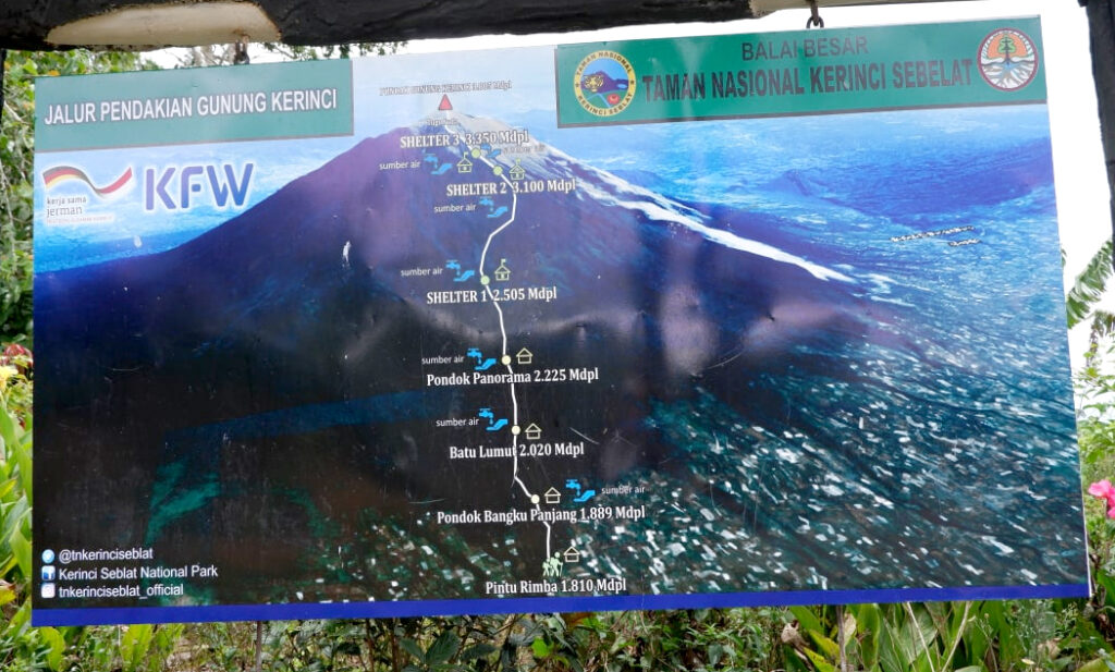 Kelinci sumatera yang Dianggap Hampir Punah Terlihat di Kerinci ...