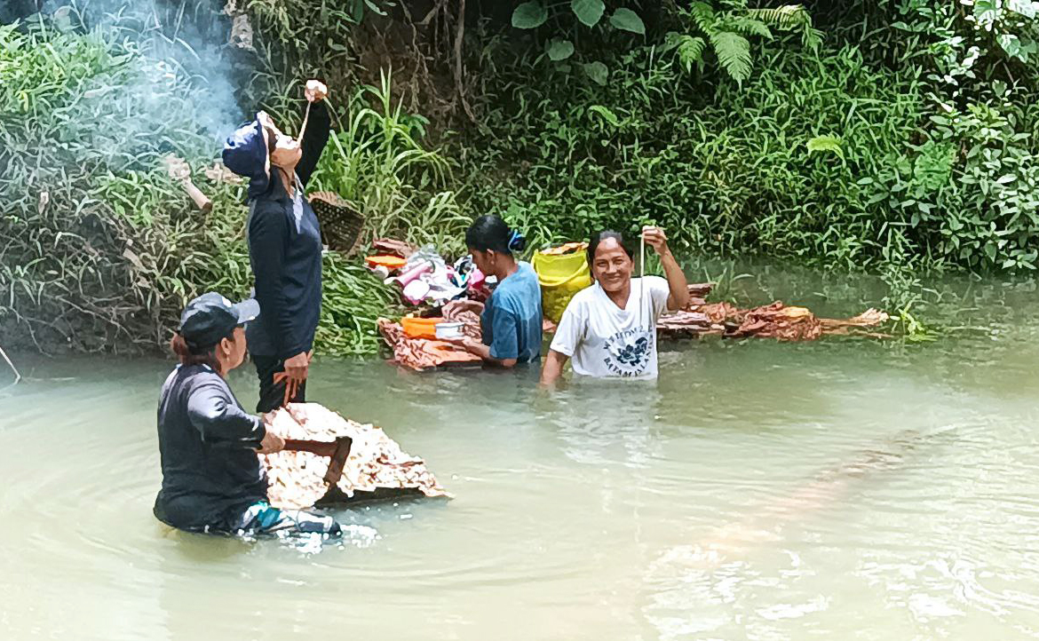 Pangan Lokal Toek Terancam Penebangan Hutan - Jurnalistravel.com